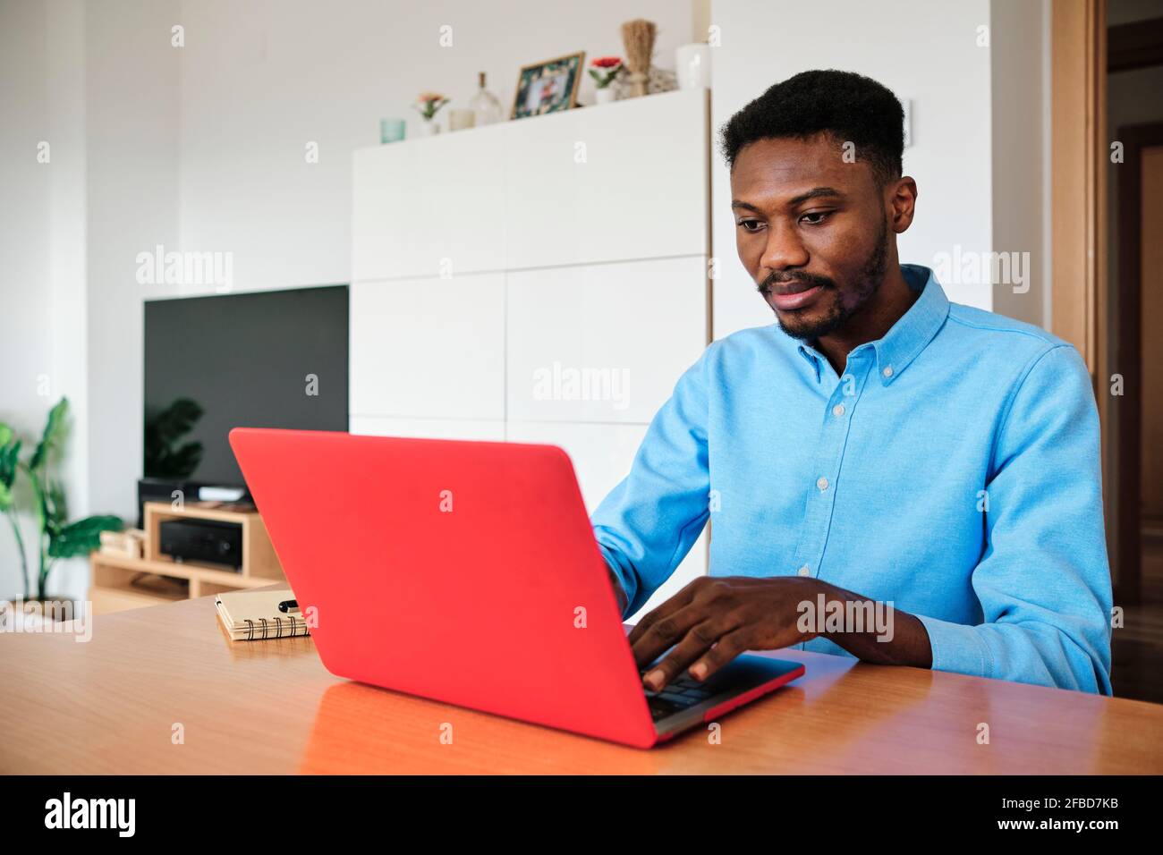 Mid adult entrepreneur working on laptop at home Stock Photo - Alamy
