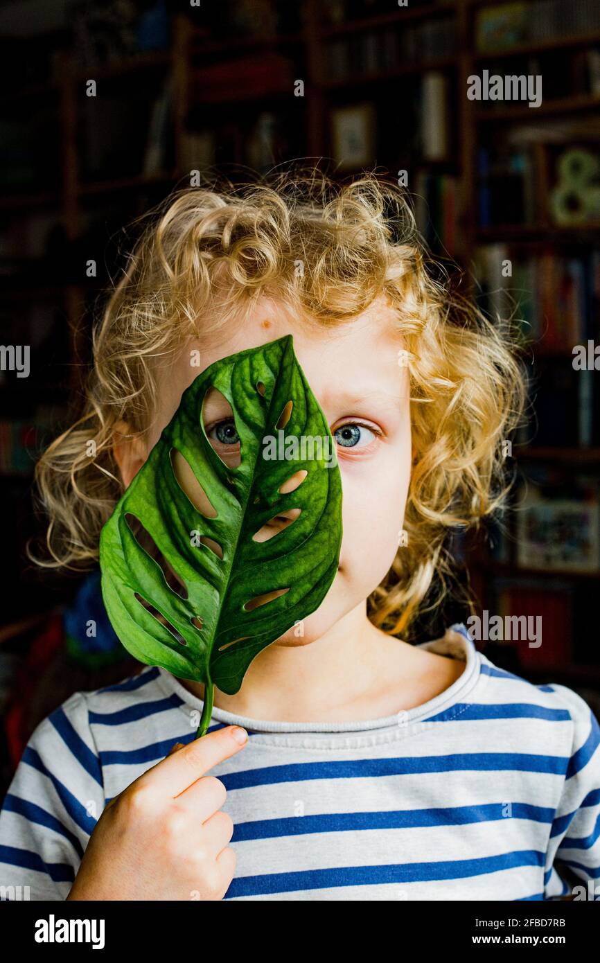 Boy holding up leaf hi-res stock photography and images - Alamy