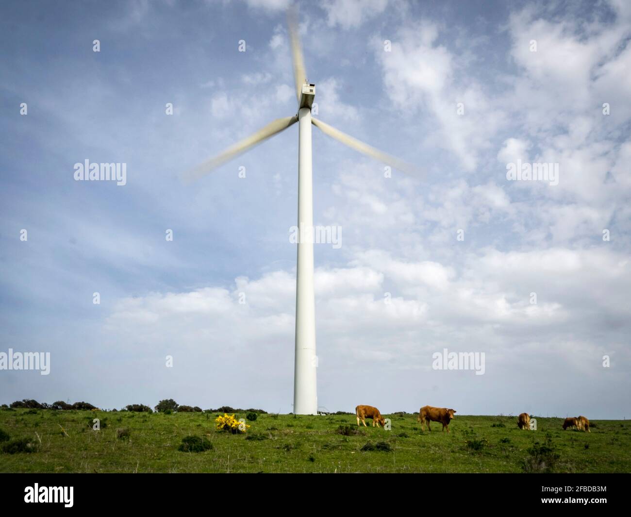 Wind turbines move their blades in the field near a country road Stock ...