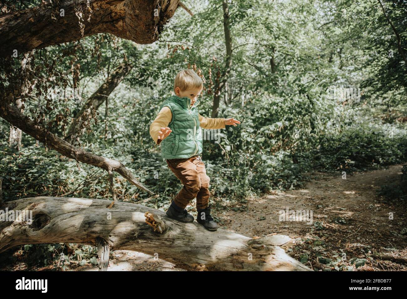 Children balancing on fallen tree hi-res stock photography and images ...