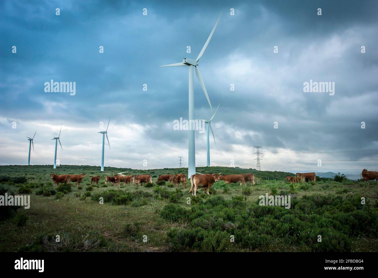 Inside of a wind turbine hi-res stock photography and images - Alamy