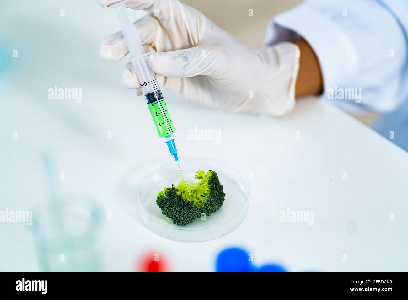 Researcher injecting broccoli in petri dish at laboratory Stock Photo ...