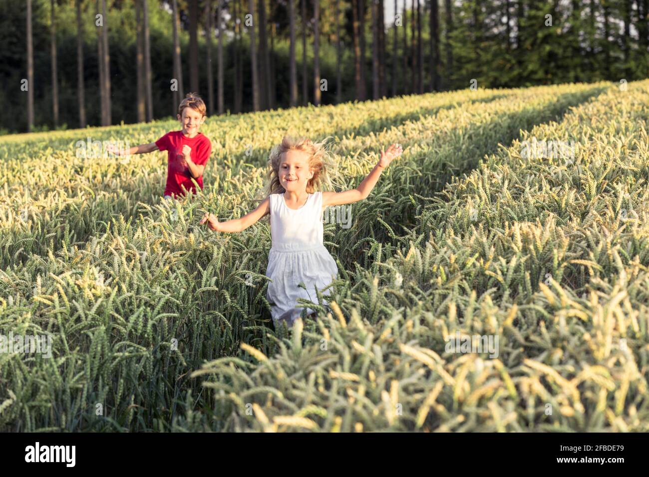 Crop plants hi-res stock photography and images - Alamy