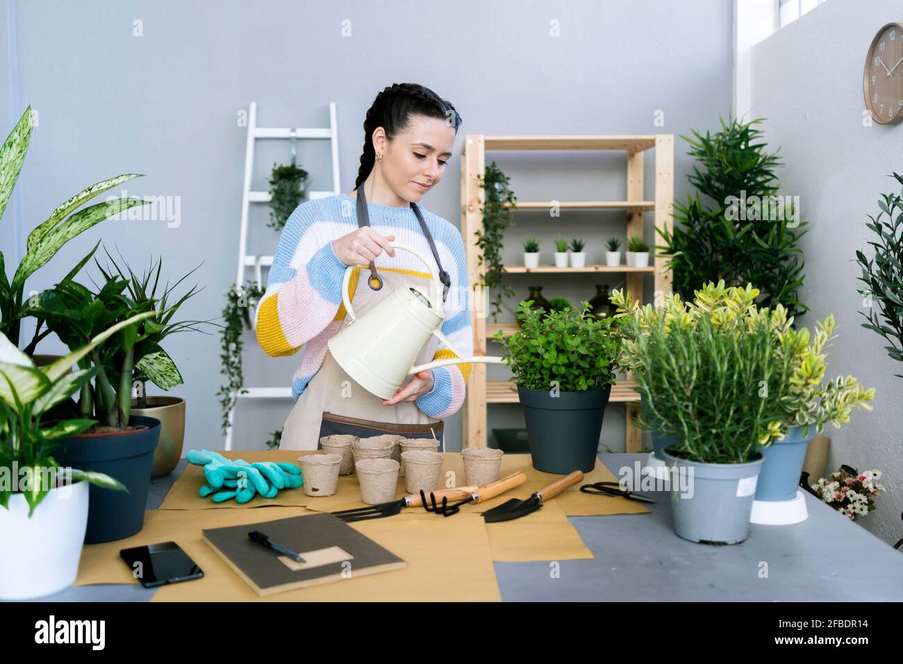 Female gardener watering plants while working at workshop Stock Photo - Alamy