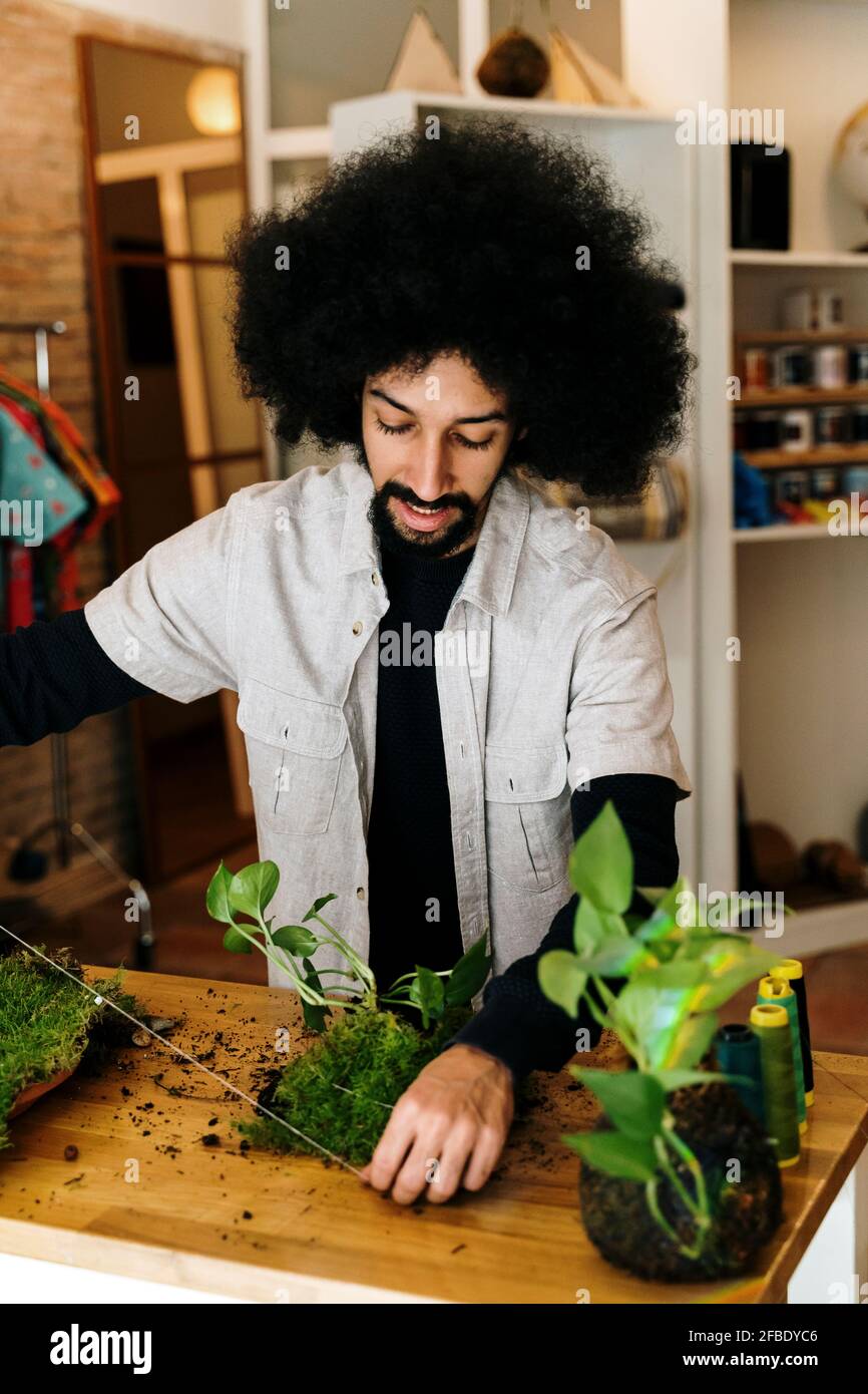 Afro man holding thread while making kokedama moss plant on table at ...