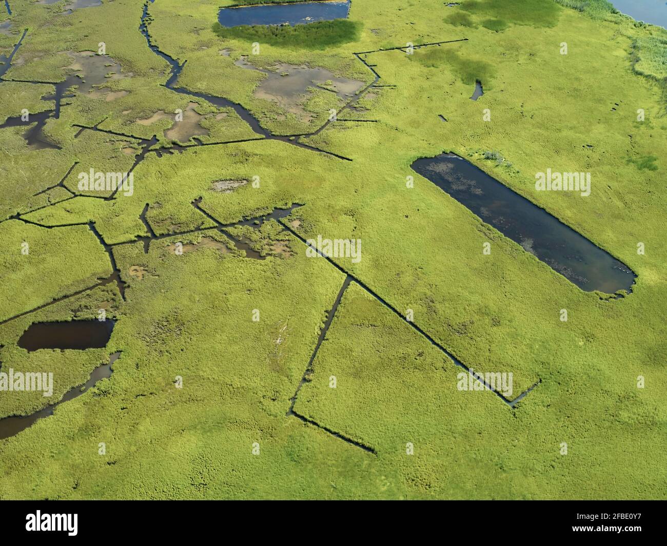 Aerial view over swamp hi-res stock photography and images - Alamy