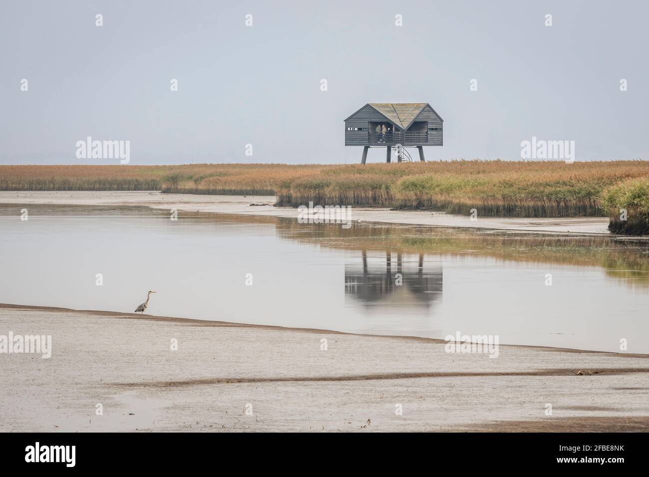 Bird Watching Hut High Resolution Stock Photography and Images - Alamy
