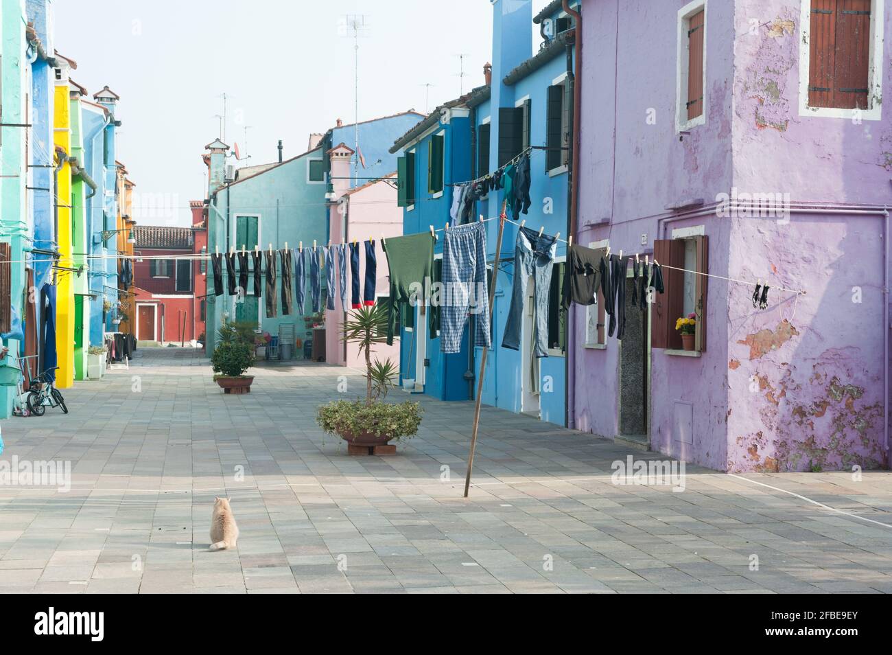 Venire hi-res stock photography and images - Alamy