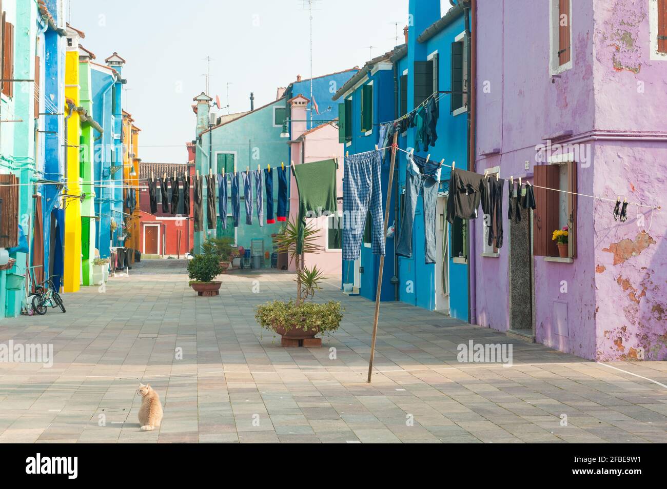 Venire hi-res stock photography and images - Alamy