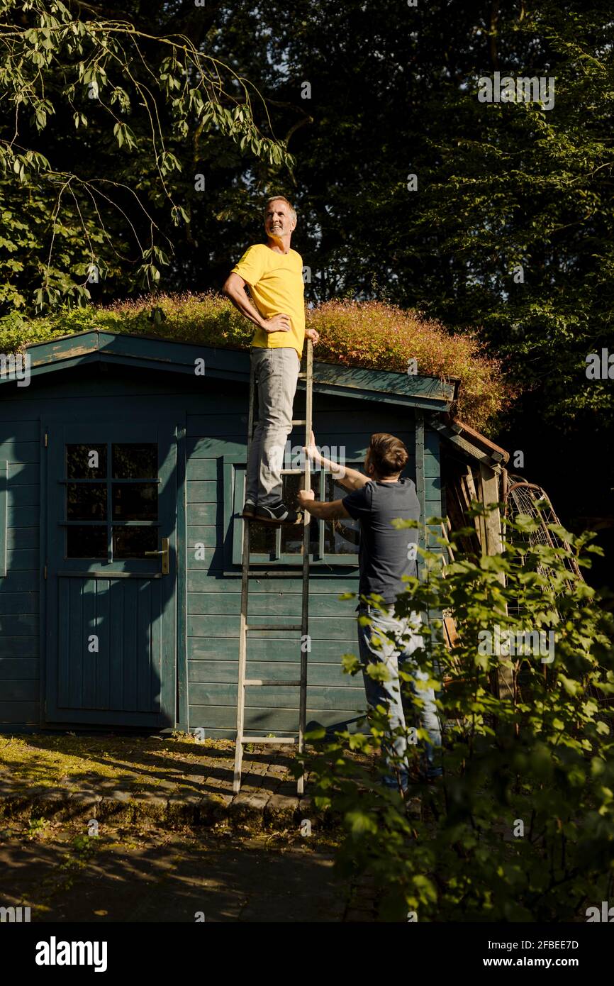 Man standing on ladder hi-res stock photography and images - Alamy