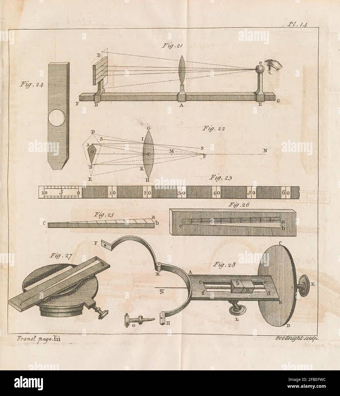 Monocot stem micrograph hi-res stock photography and images - Alamy