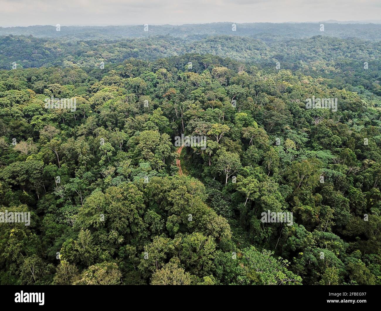 Aerial view lush green jungle lope national park hi-res stock ...
