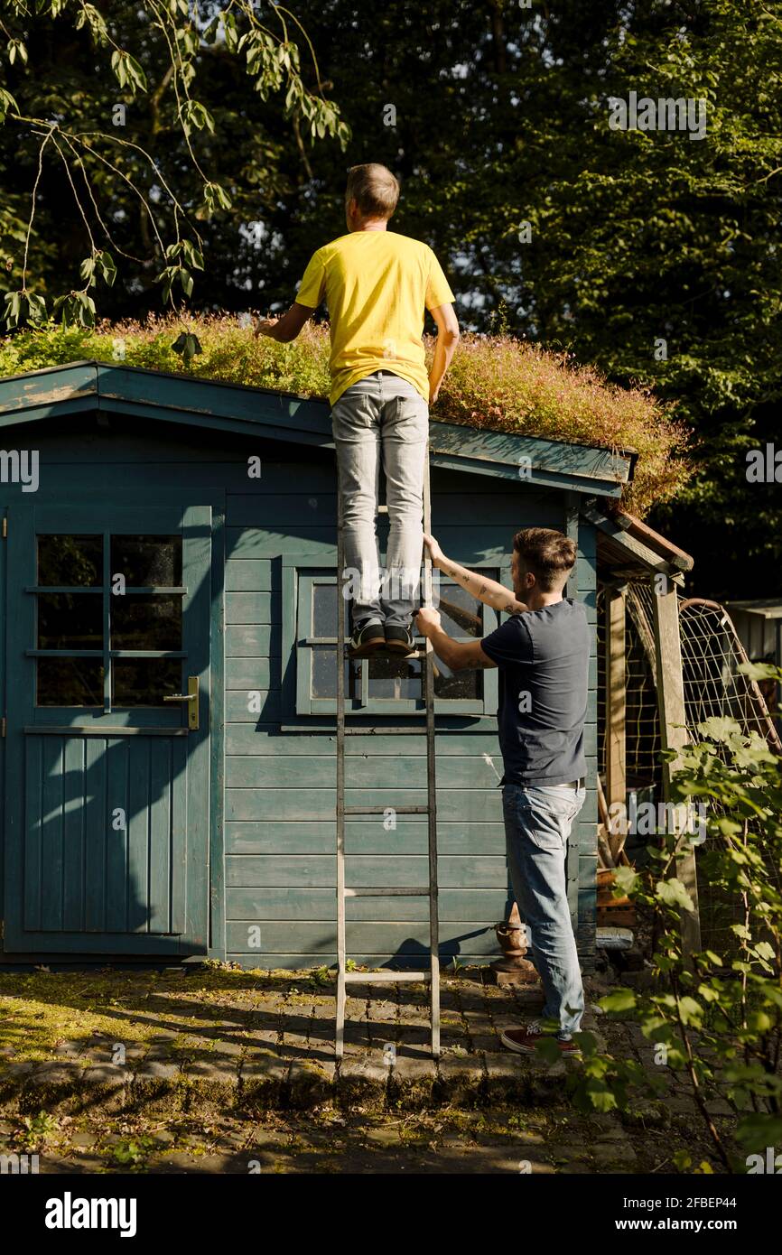 Father son standing on ladder hi-res stock photography and images - Alamy