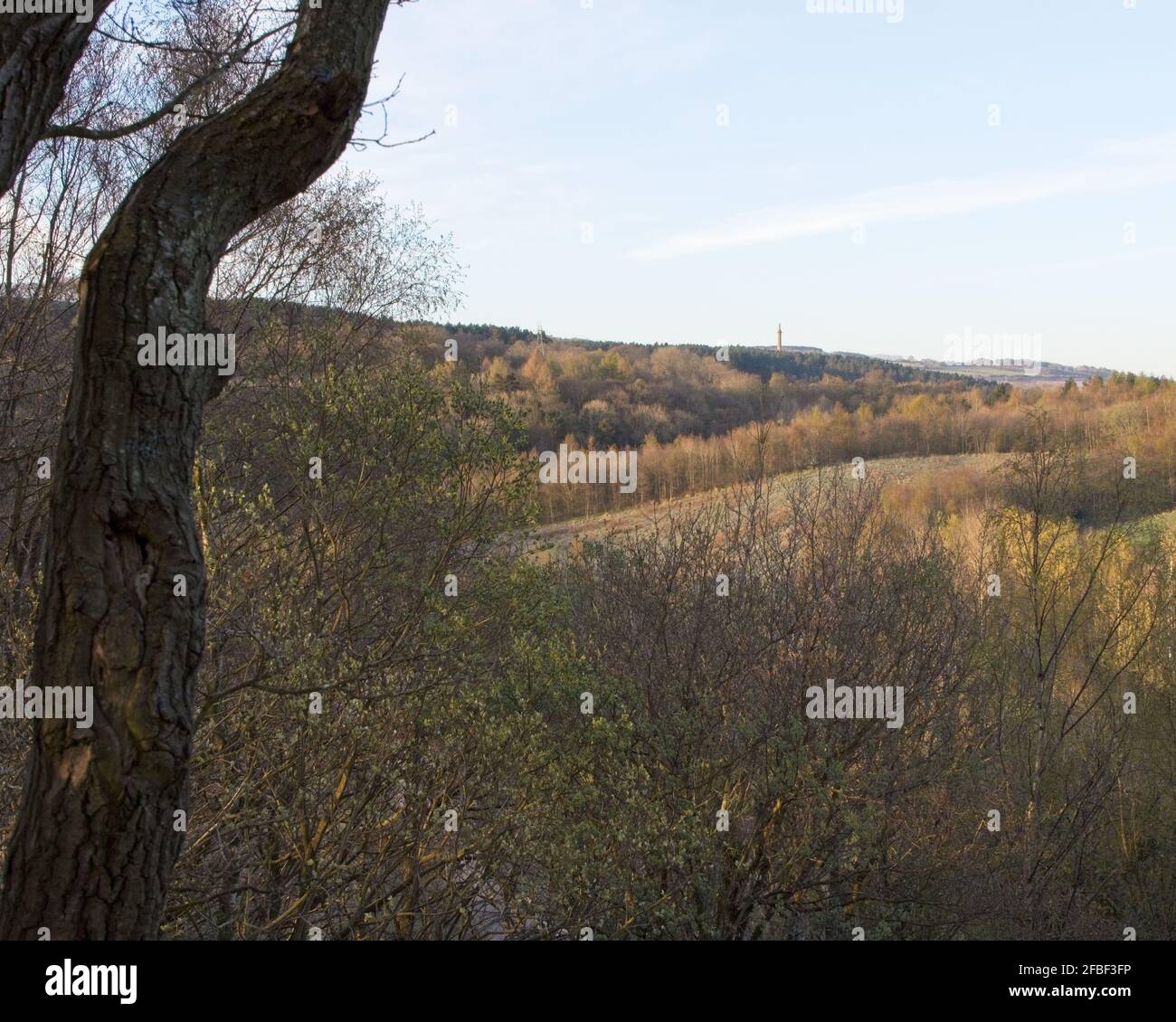 Wear valley hi-res stock photography and images - Alamy