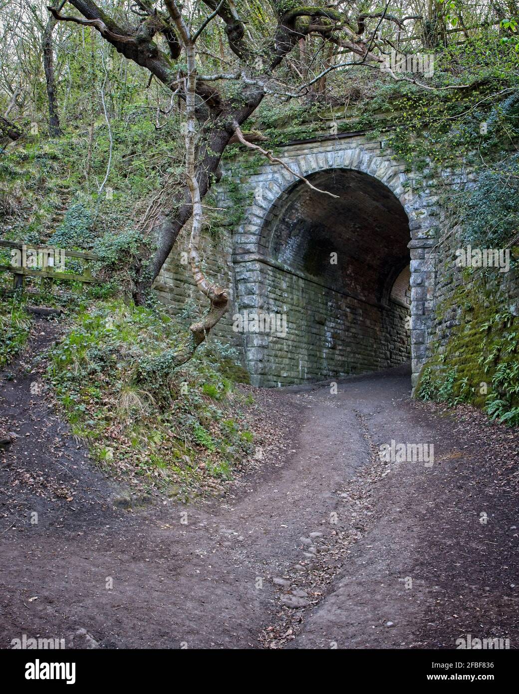 An old viaduct in the Derwent Valley Country Park near Winlaton Mill ...