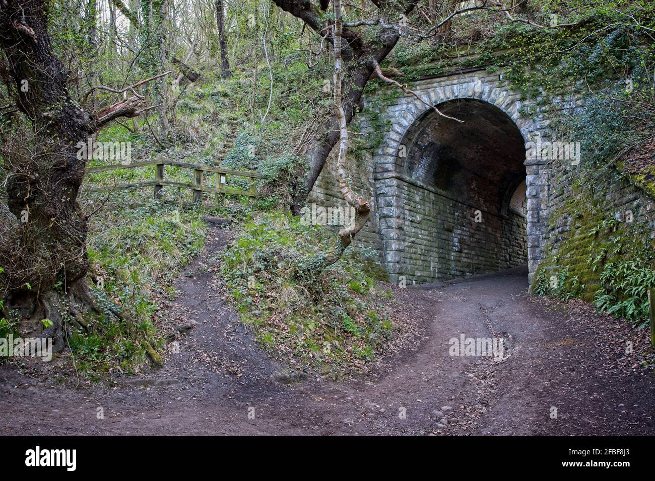 An old viaduct in the Derwent Valley Country Park near Winlaton Mill ...
