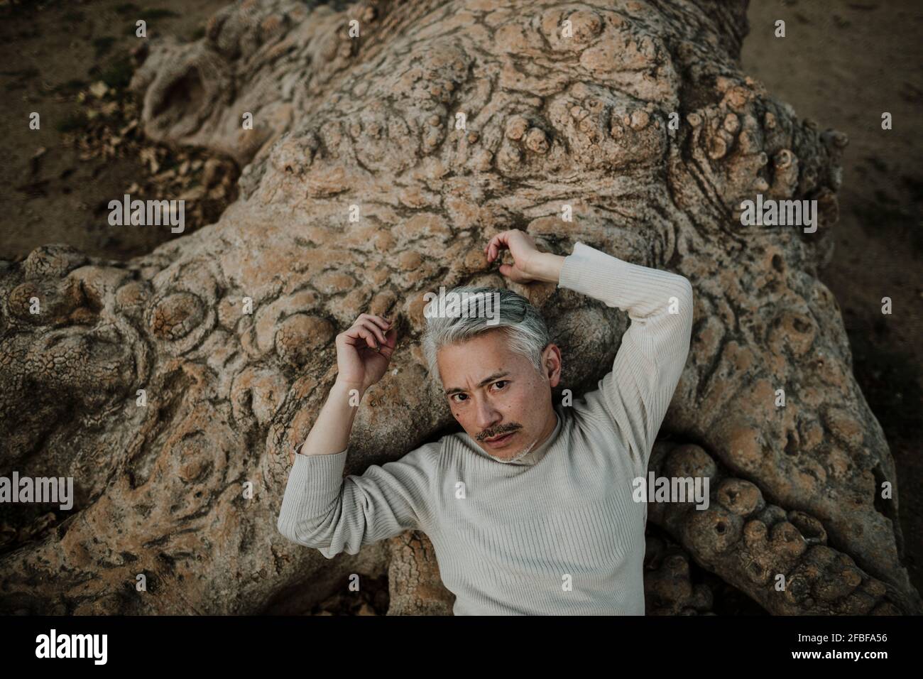 Tree root garden hi-res stock photography and images - Alamy