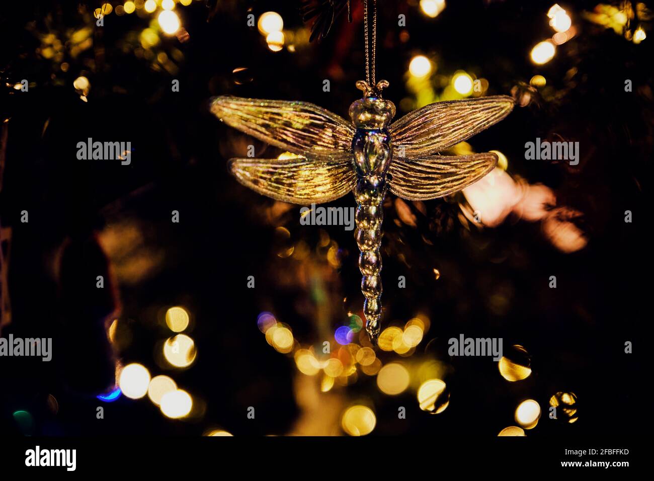 Dragonfly home hi-res stock photography and images - Alamy
