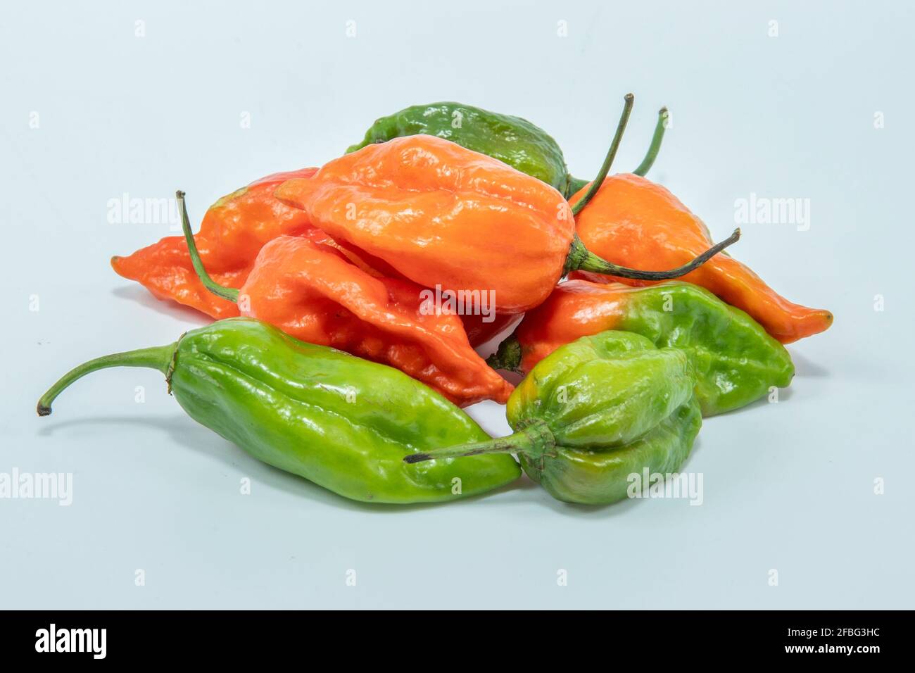 Green naga hi-res stock photography and images - Alamy