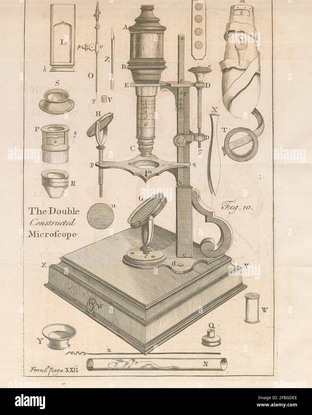 Spinal cord section micrograph hi-res stock photography and images - Alamy