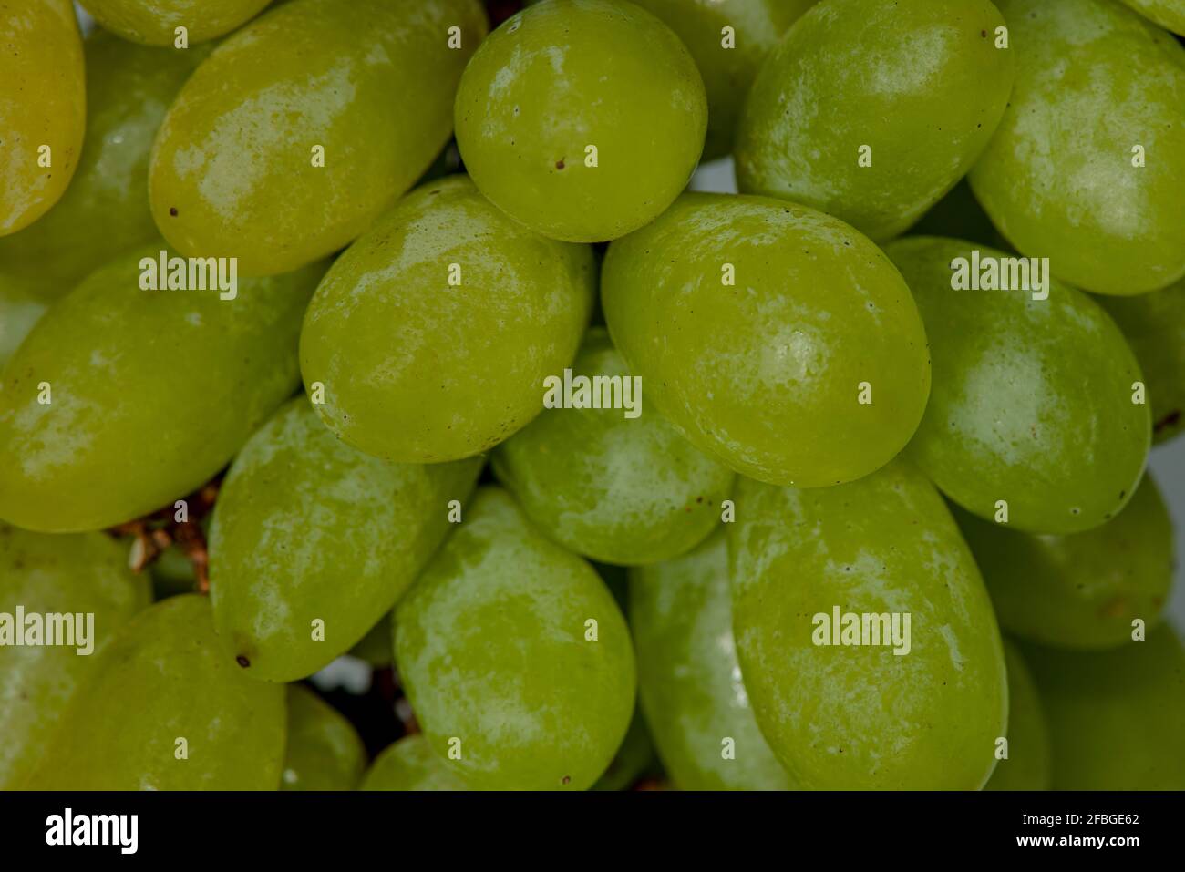Asian grapes hi-res stock photography and images - Alamy
