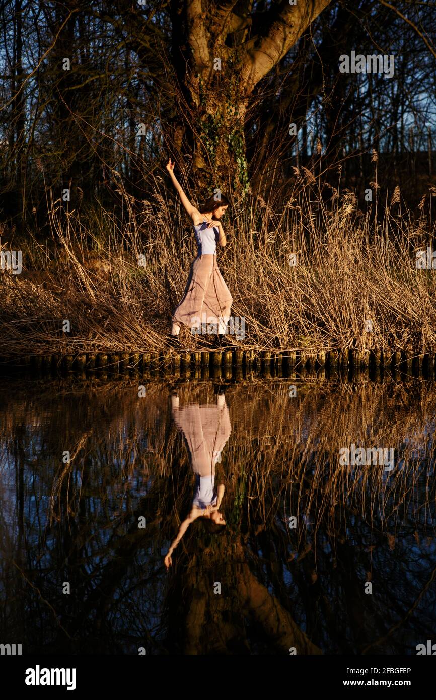 Dancing tree hi-res stock photography and images - Alamy
