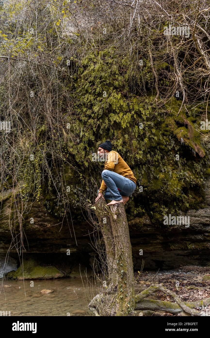Tree stump lake hi-res stock photography and images - Alamy