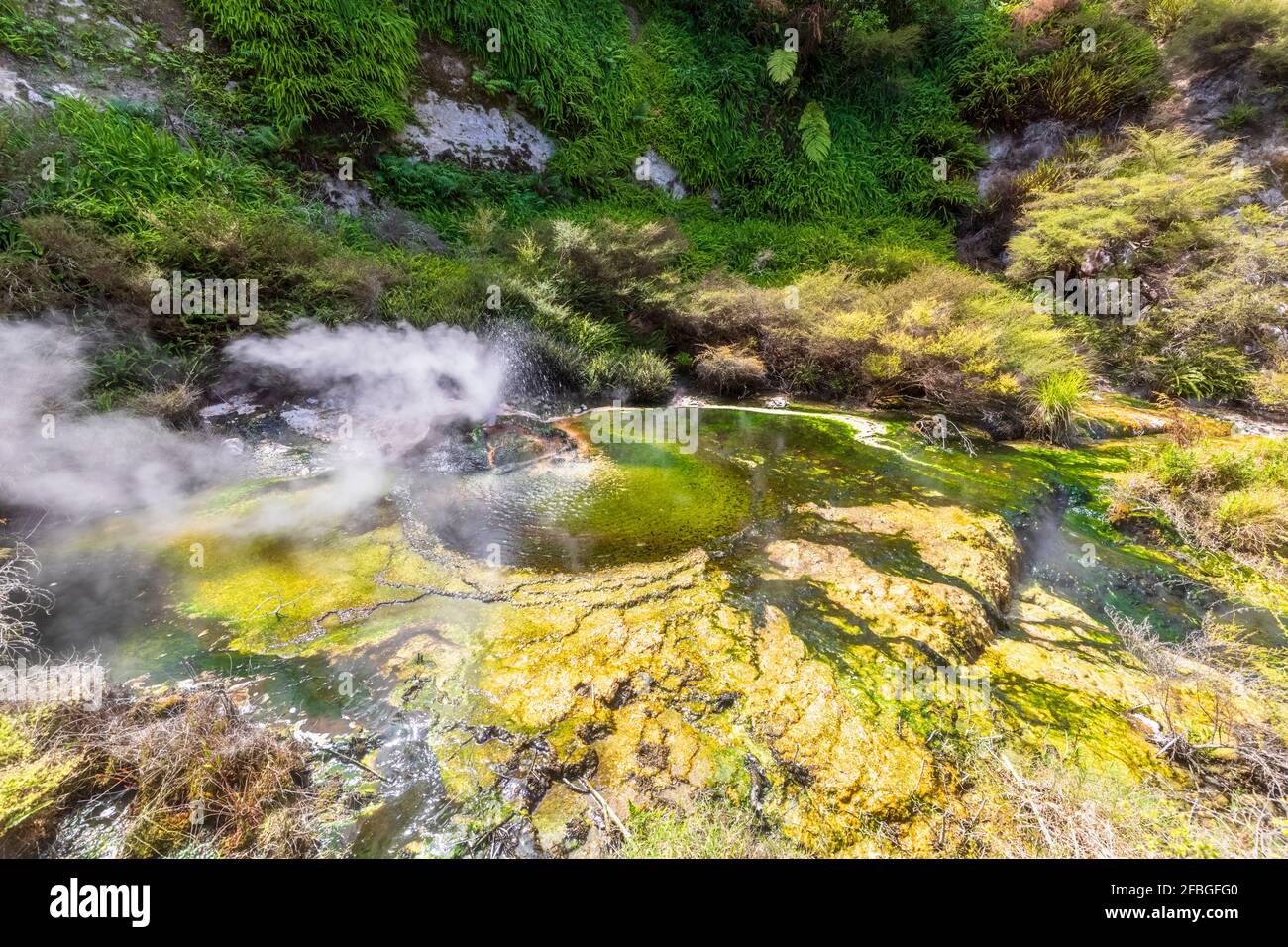 Rocks growing in water hi-res stock photography and images - Alamy