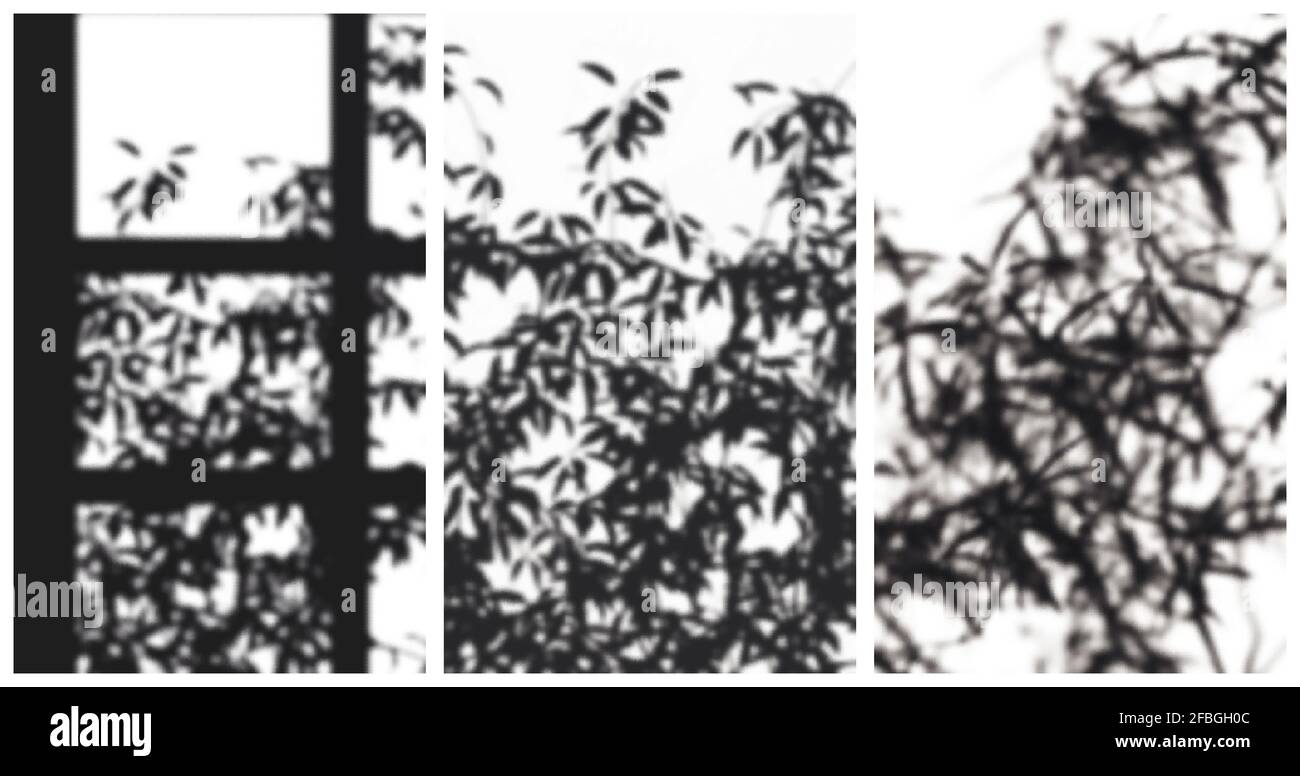 Background blurred shadows branches Stock Vector Images - Alamy