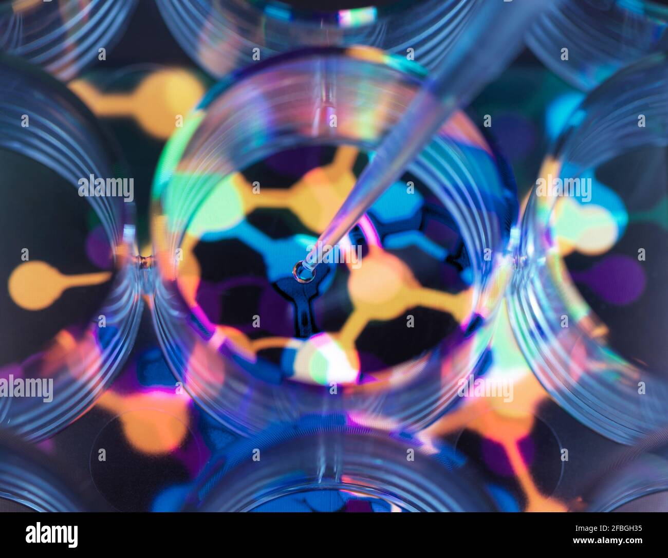 Conceptual image to illustrate biotechnology, Scientist pipetting ...