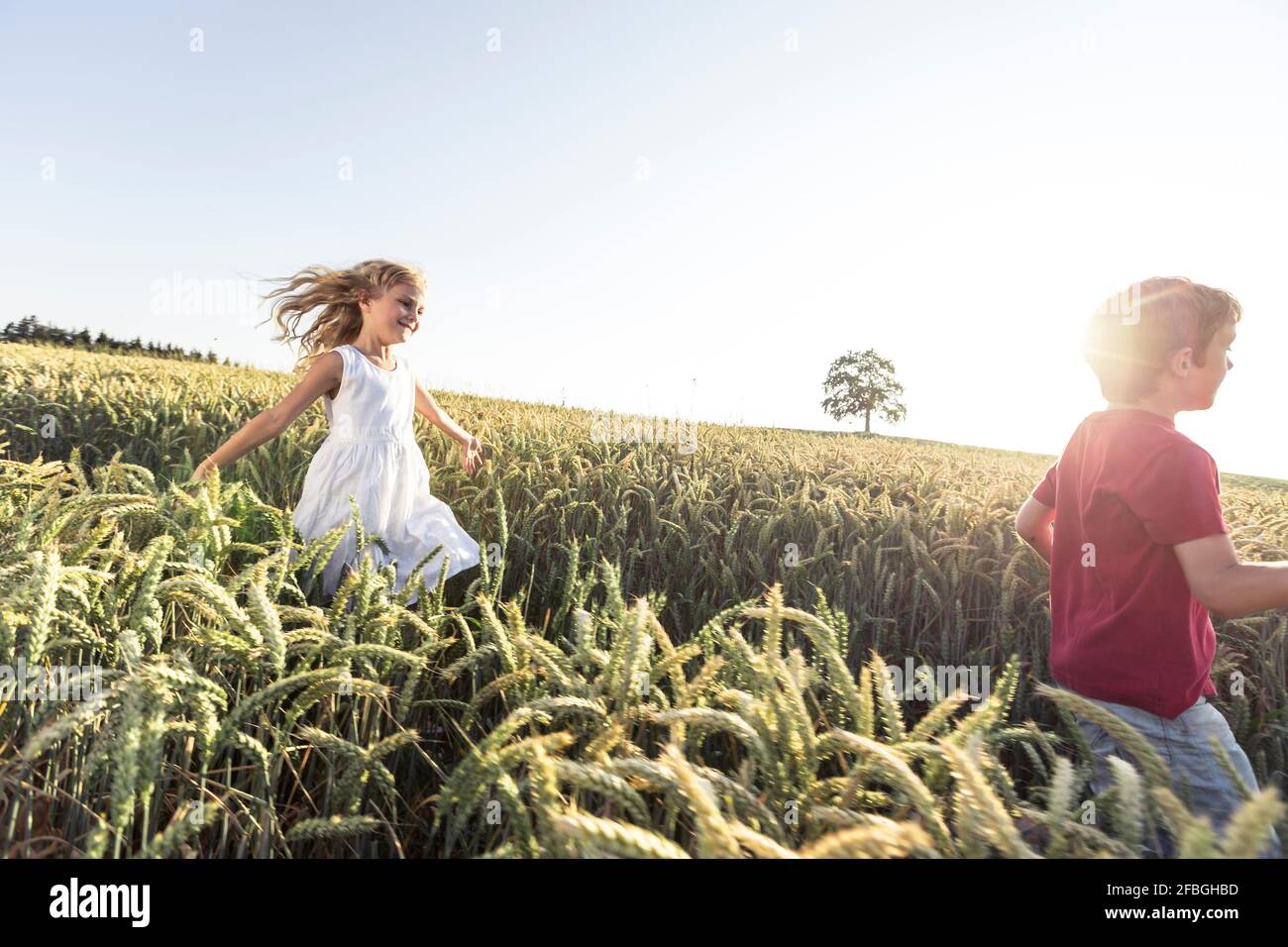 Smiling girl running behind brother on green field during sunset Stock ...
