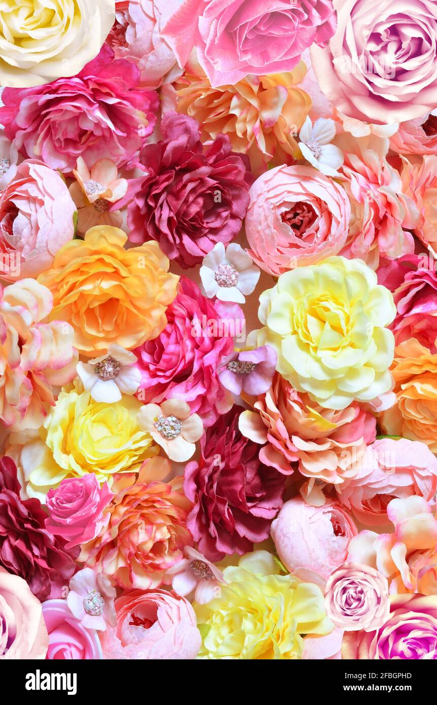 Colorful roses and white small flowers background. Beautiful, good for ...