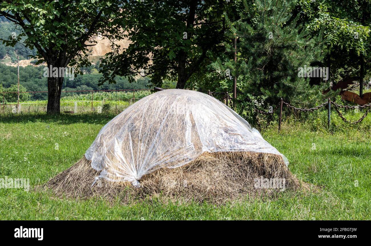 Old-fashioned hay stack covered in plastic in field with heavy chain ...