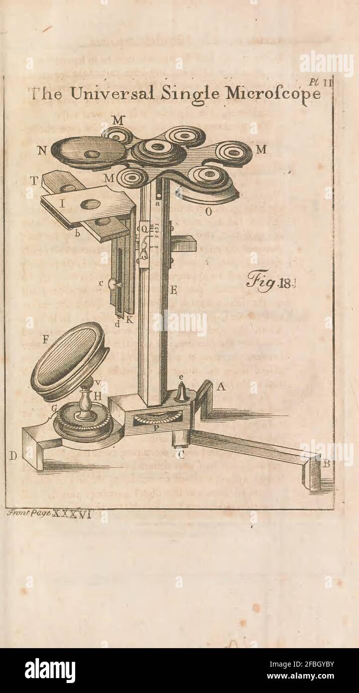 Spinal cord section micrograph hi-res stock photography and images - Alamy