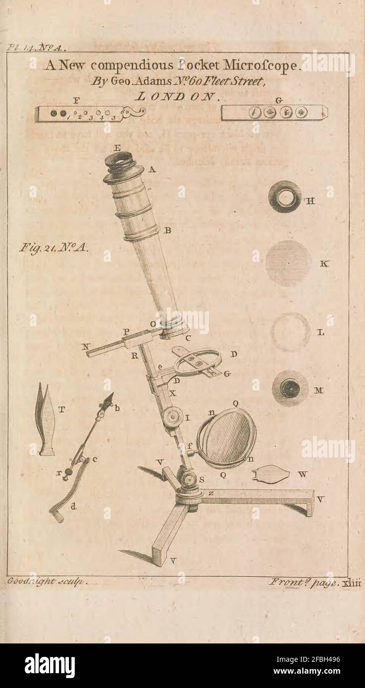 Spinal cord section micrograph hi-res stock photography and images - Alamy