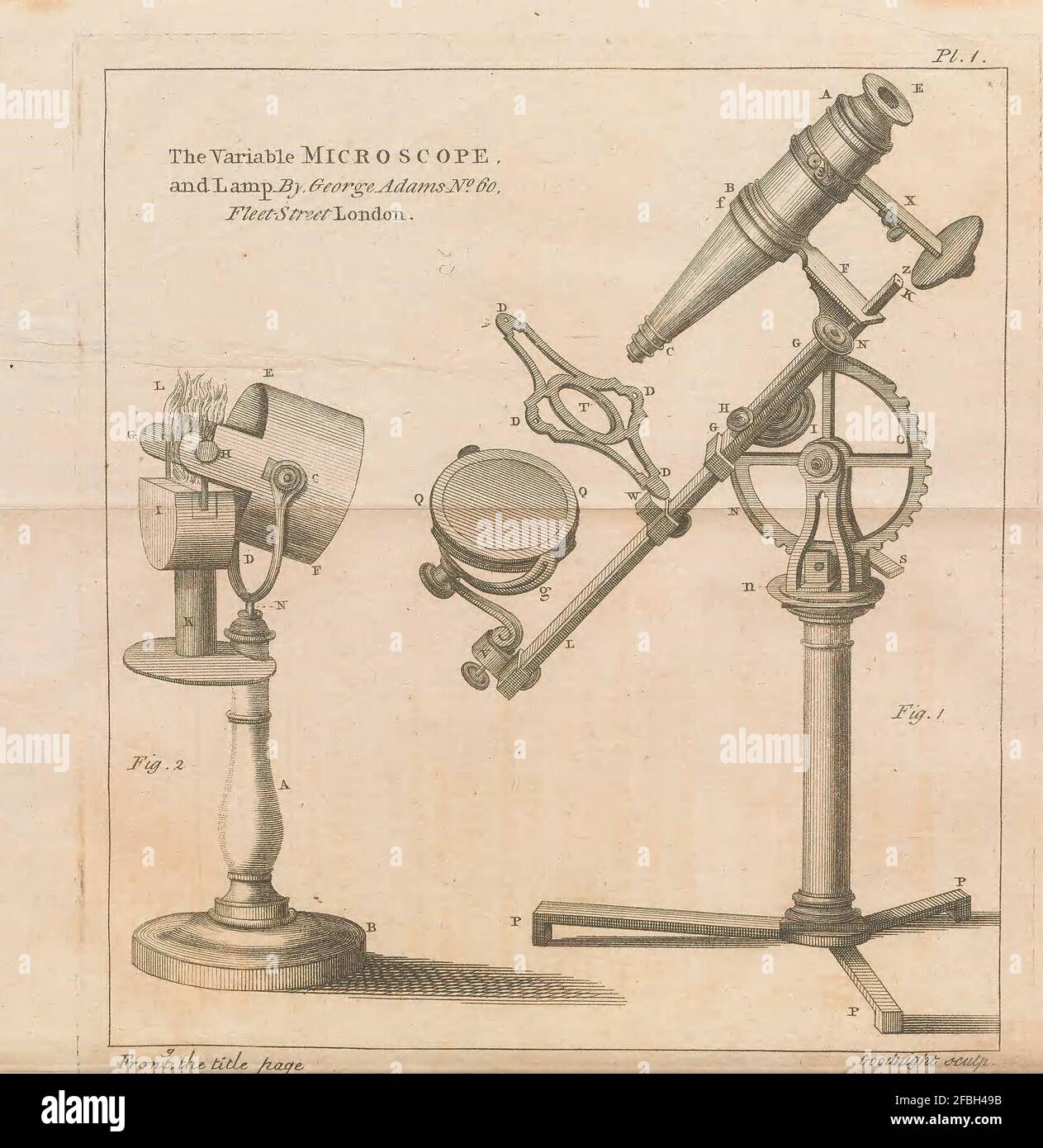 Spinal cord cross section micrograph hi-res stock photography and ...