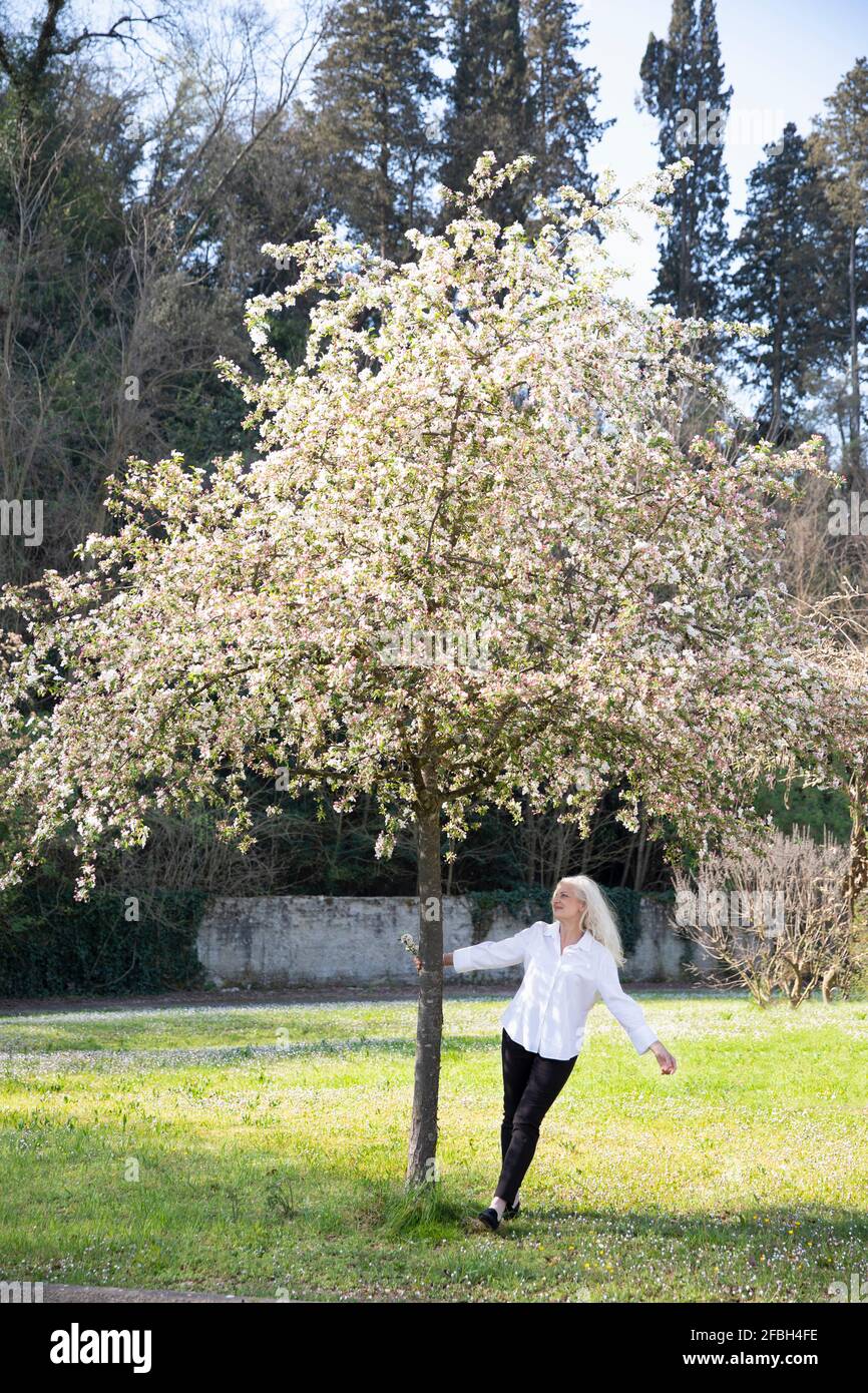Mature woman walking around tree with flowers at park during springtime ...