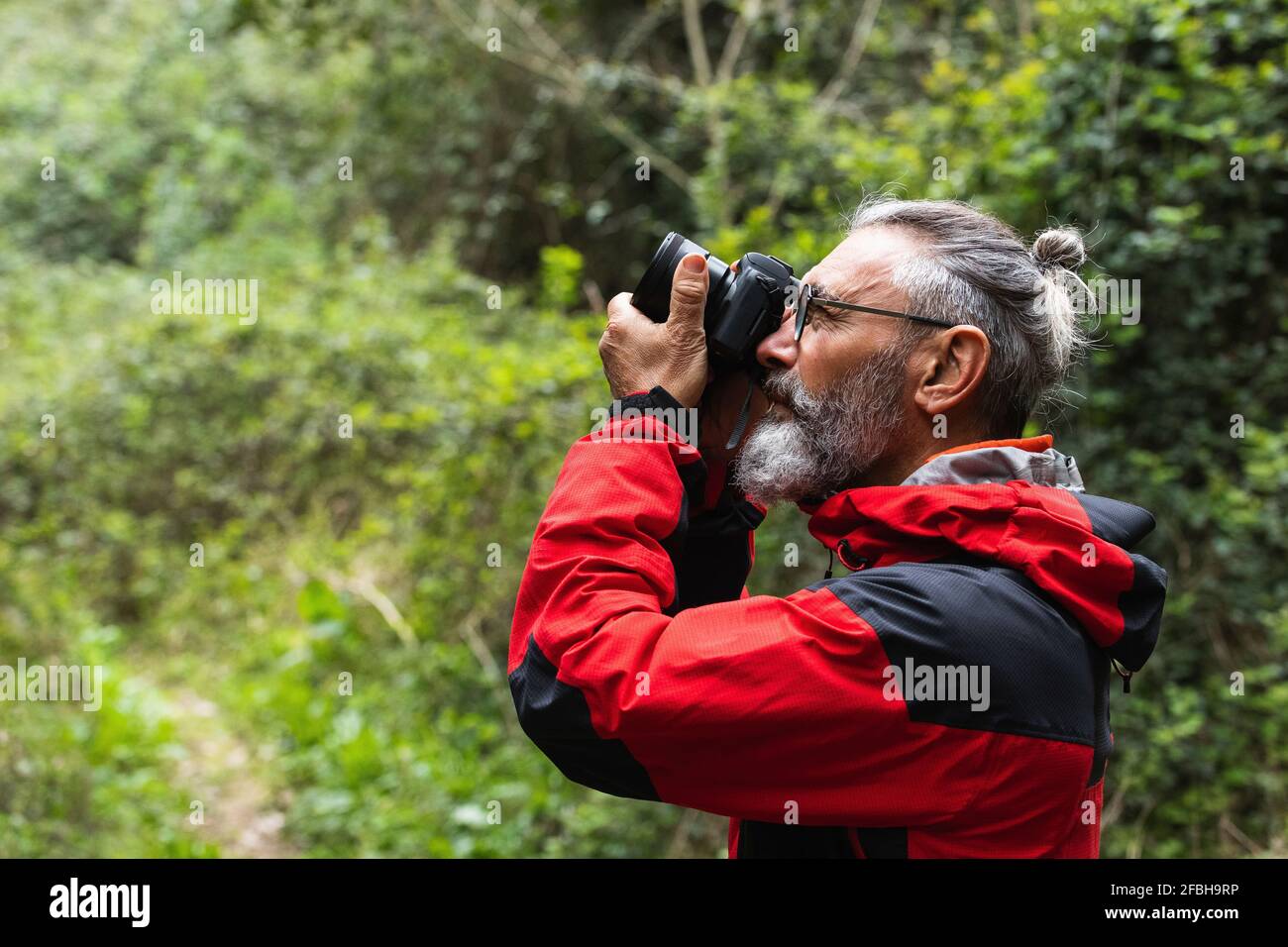 Photographing forest hi-res stock photography and images - Alamy