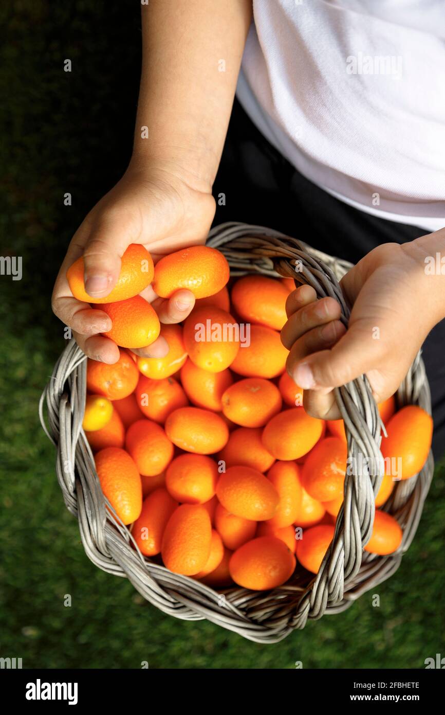 Hand holding fruit basket on hi-res stock photography and images - Alamy