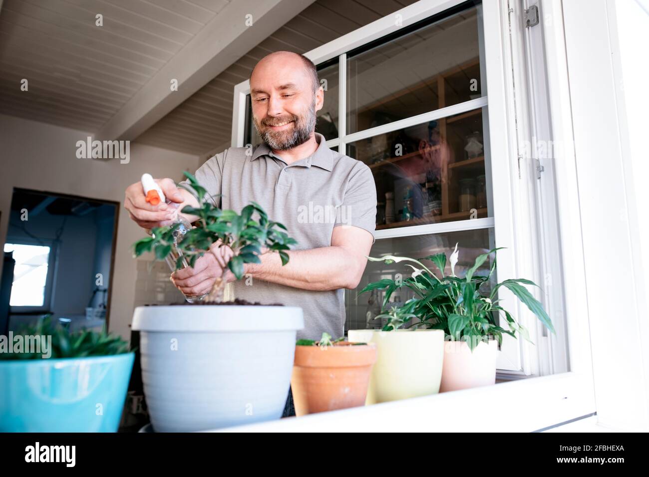 House potted plant hi-res stock photography and images - Alamy