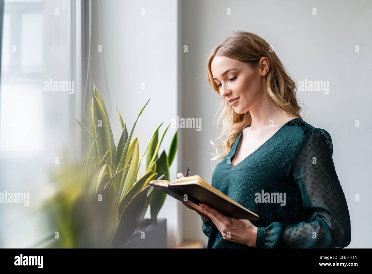 Female professional with diary in office Stock Photo - Alamy