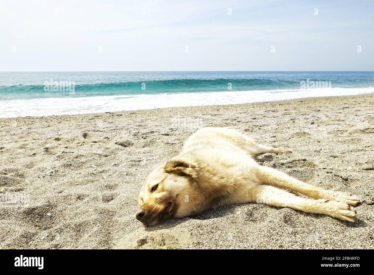 Sad ocean hi-res stock photography and images - Alamy