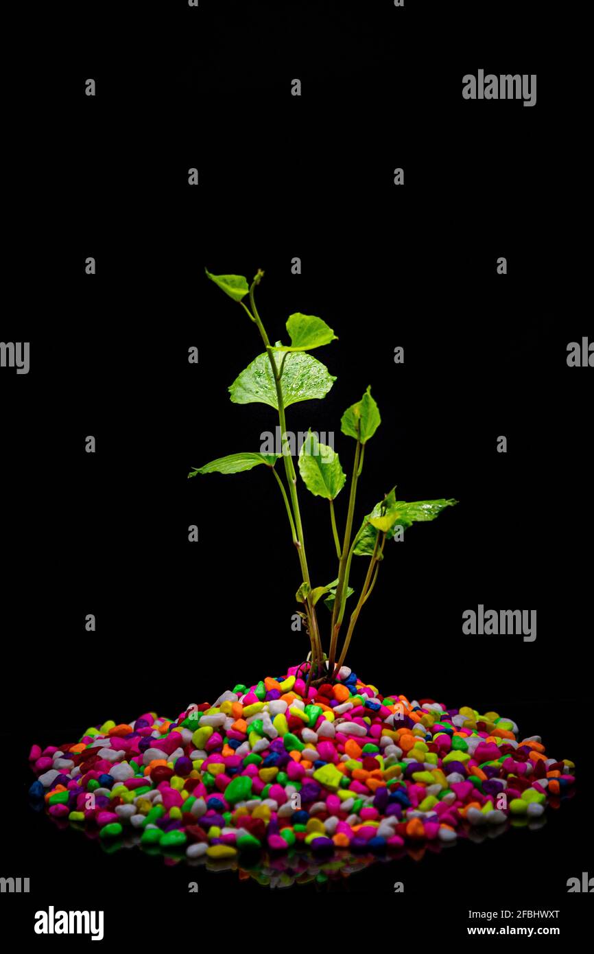 agriculture art works Stock Photo - Alamy