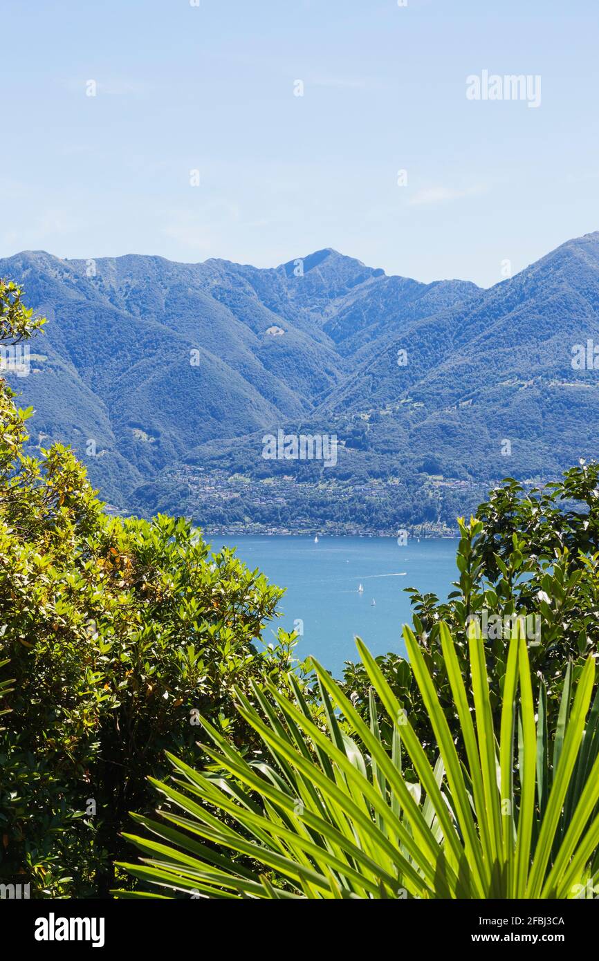 Switzerland, Ticino, Locarno, View of Lake Maggiore from Orselina Stock ...