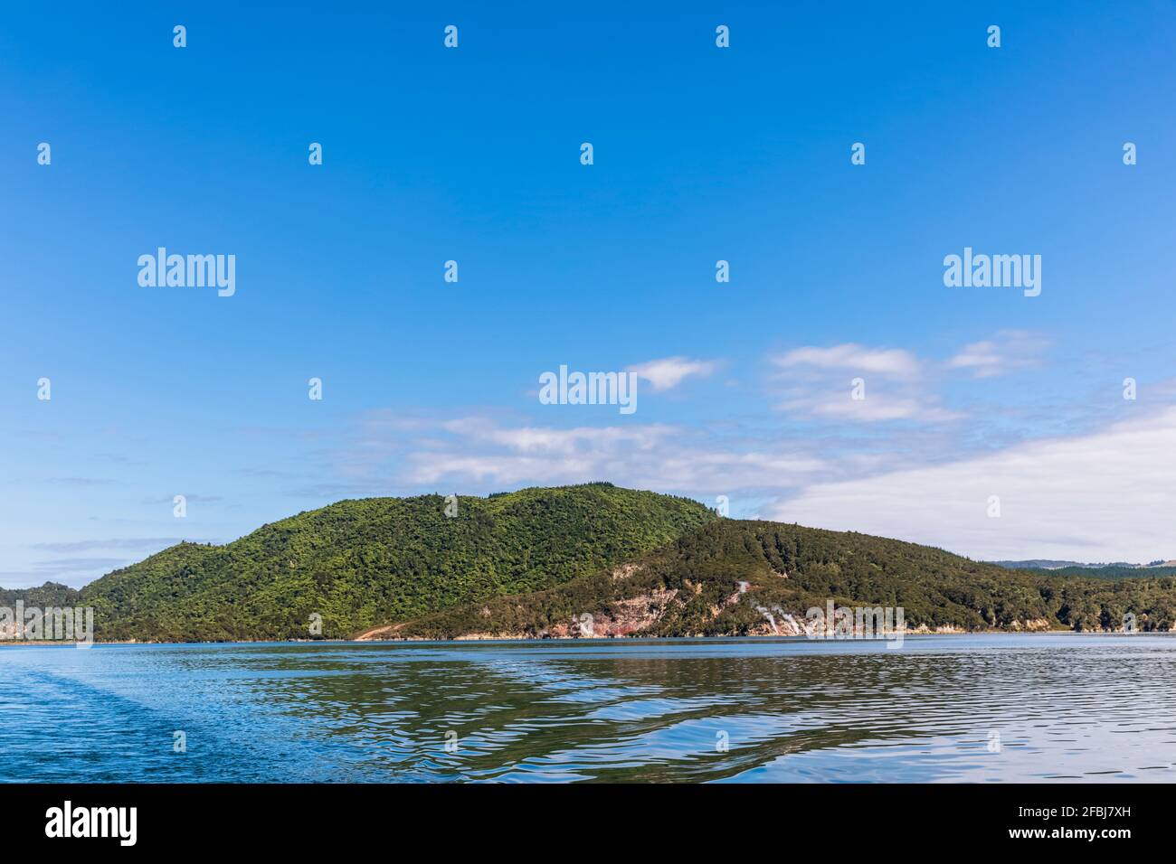 Island with forest hi-res stock photography and images - Alamy