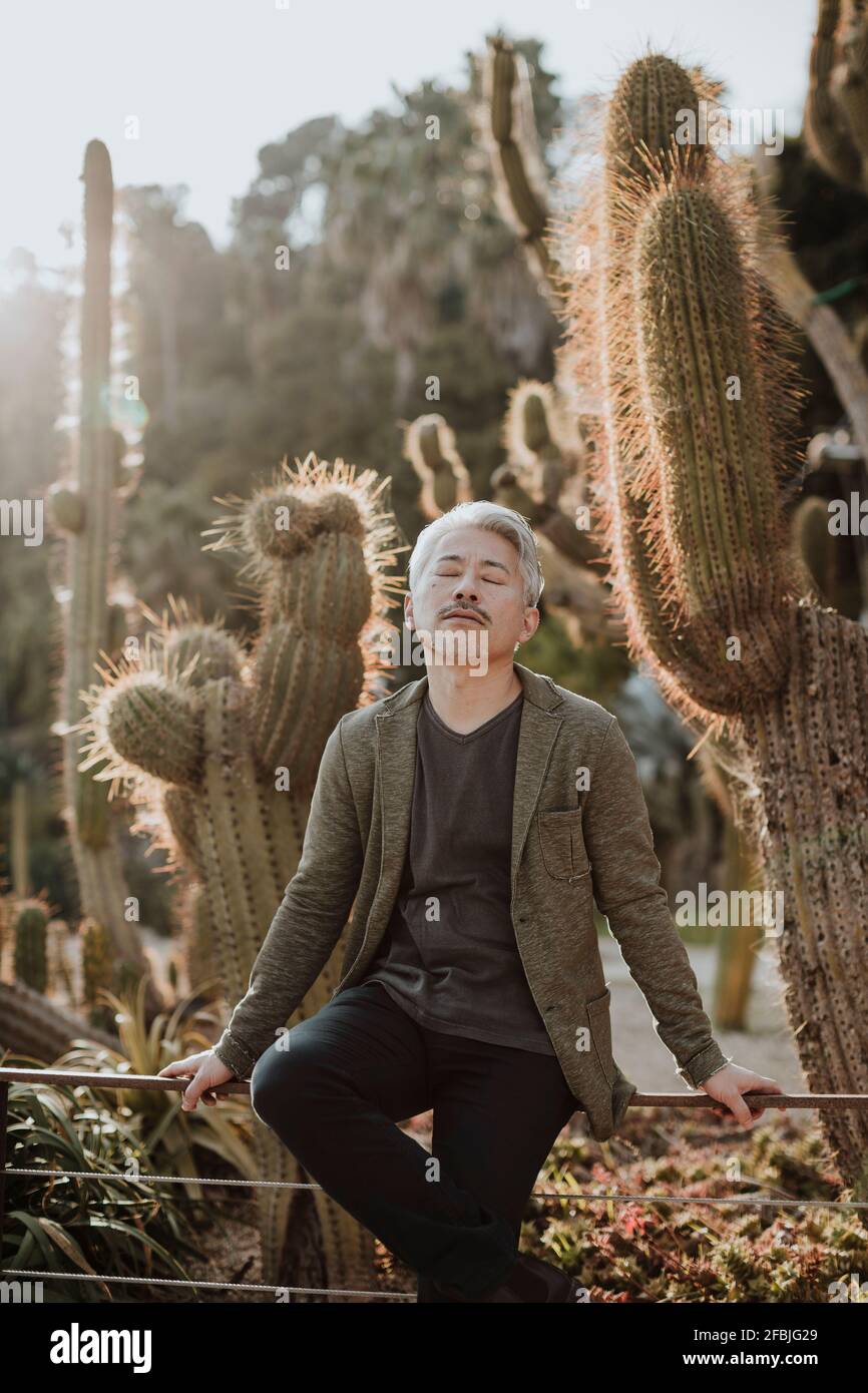 Sitting and cactus hi-res stock photography and images - Alamy