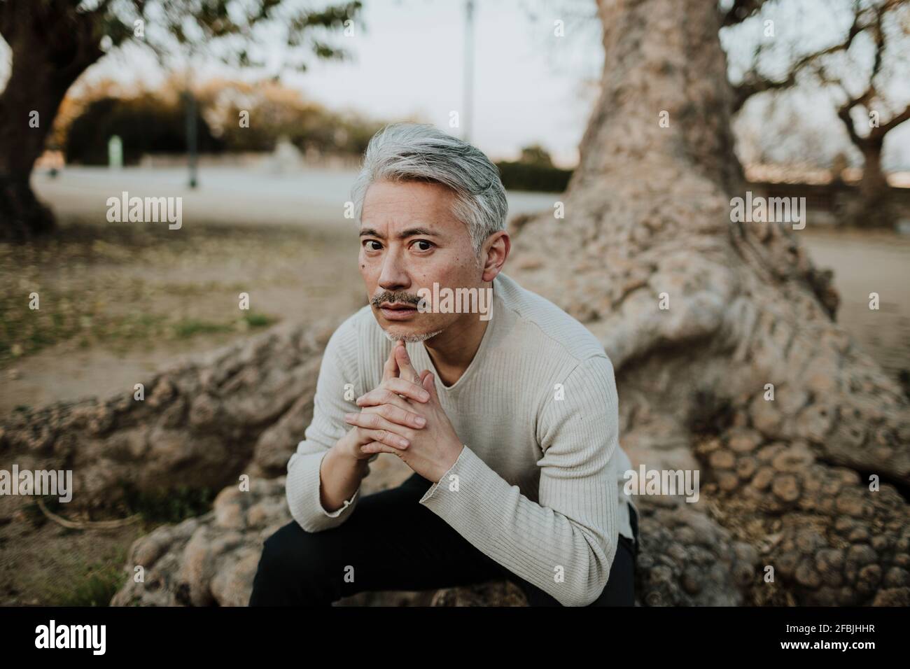 Sitting tree roots hi-res stock photography and images - Alamy