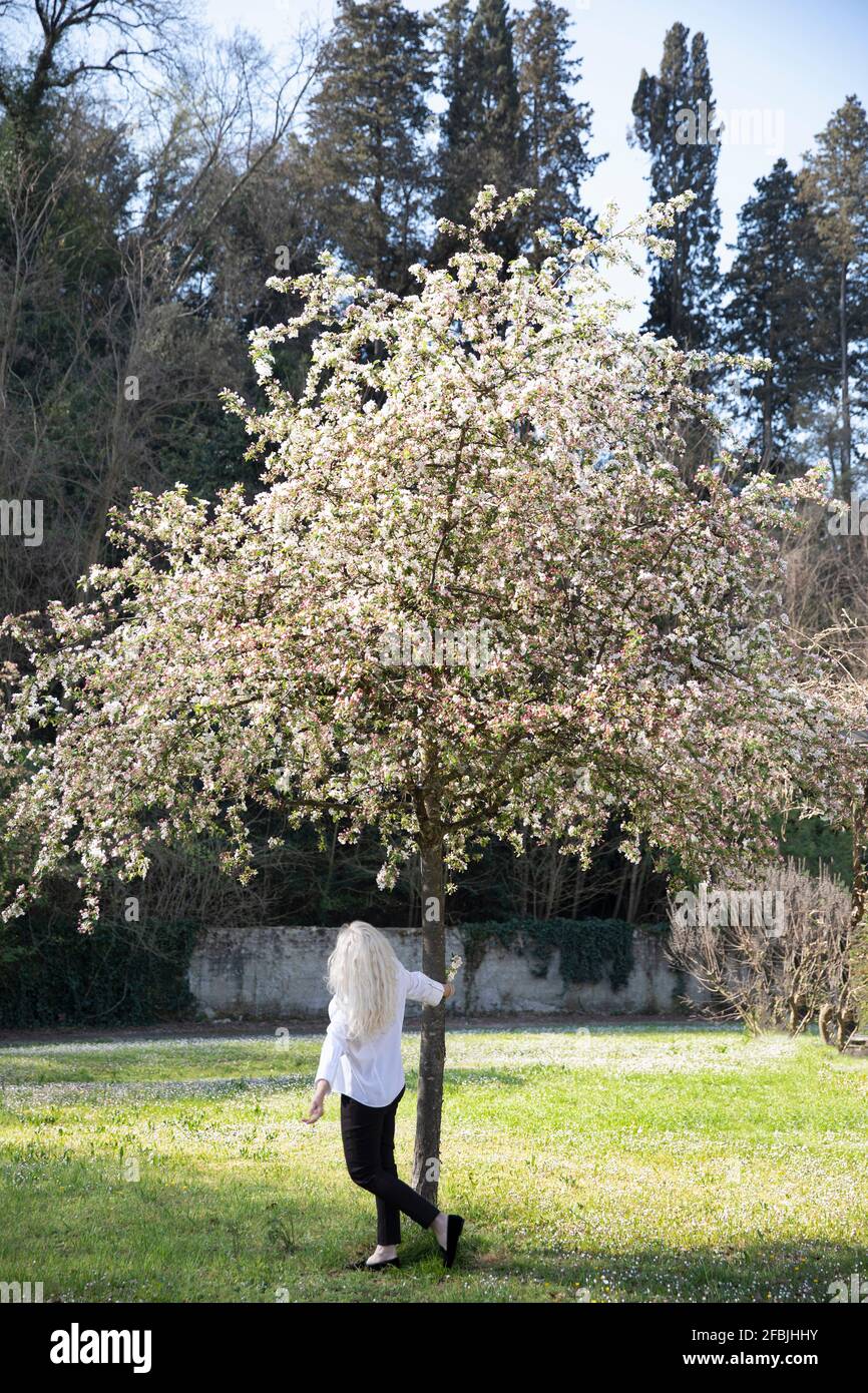 Mature woman walking around tree during springtime Stock Photo - Alamy