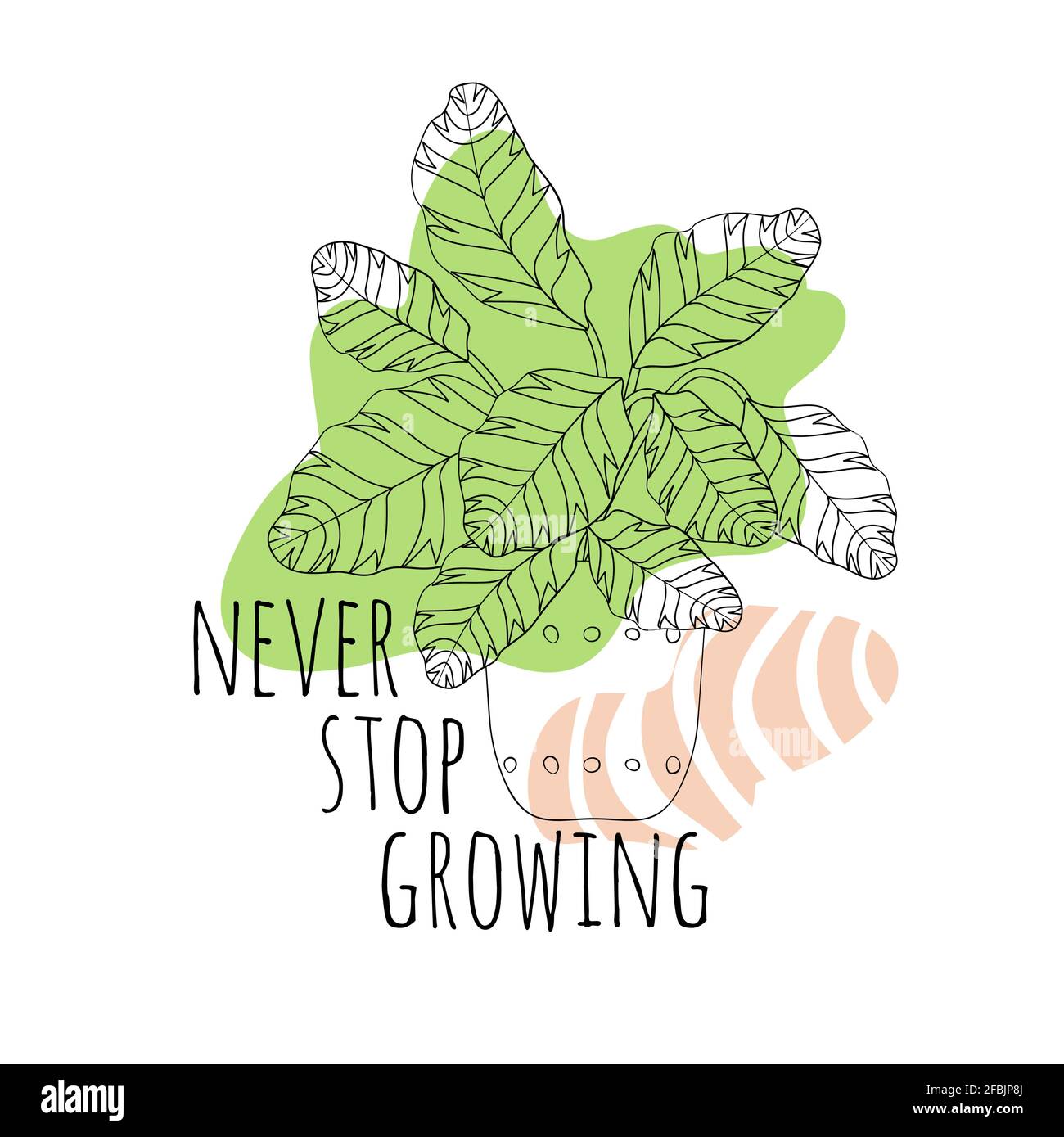 Maranta leaf Cut Out Stock Images & Pictures - Alamy