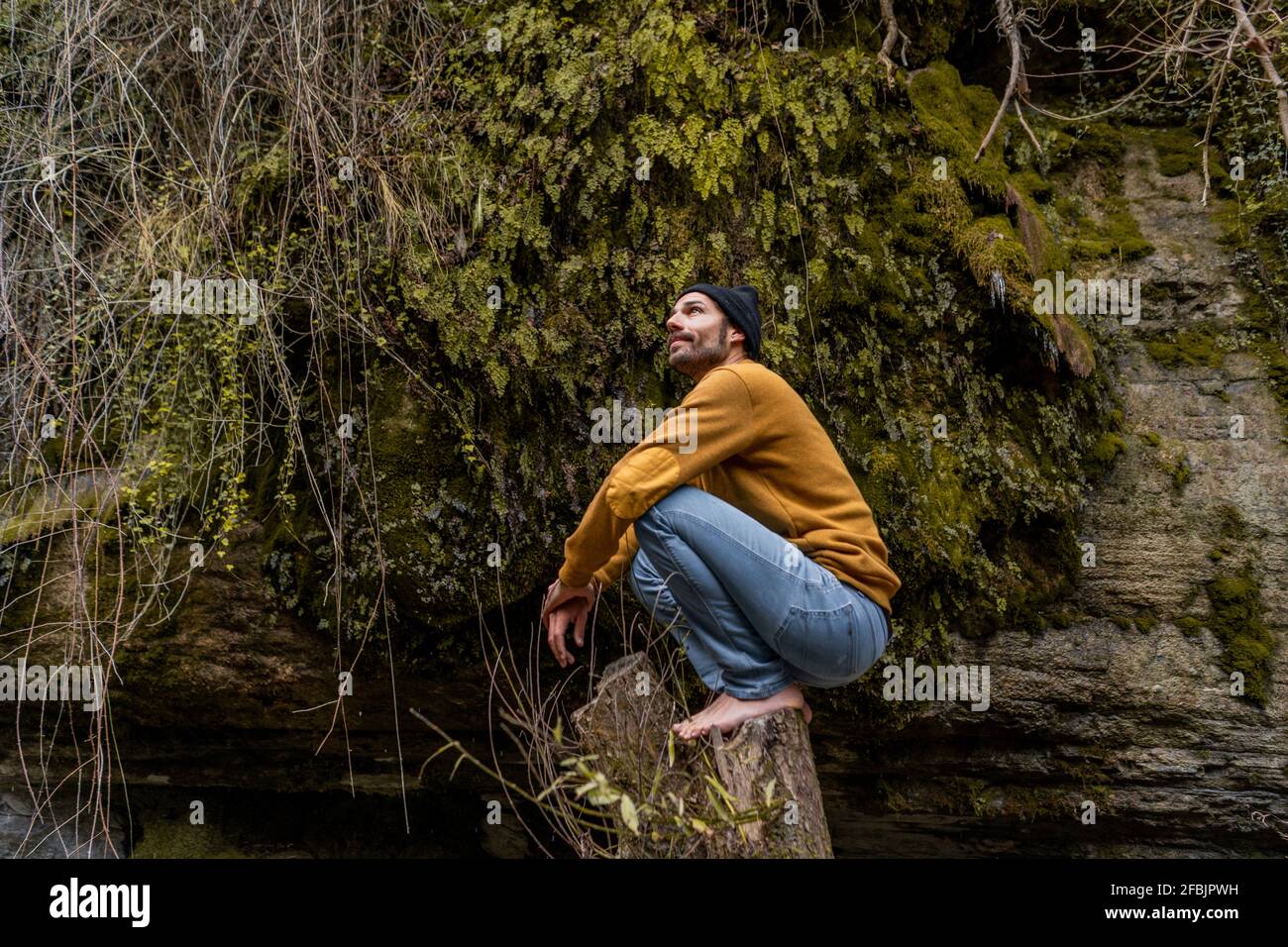 Tree stump forest hi-res stock photography and images - Alamy